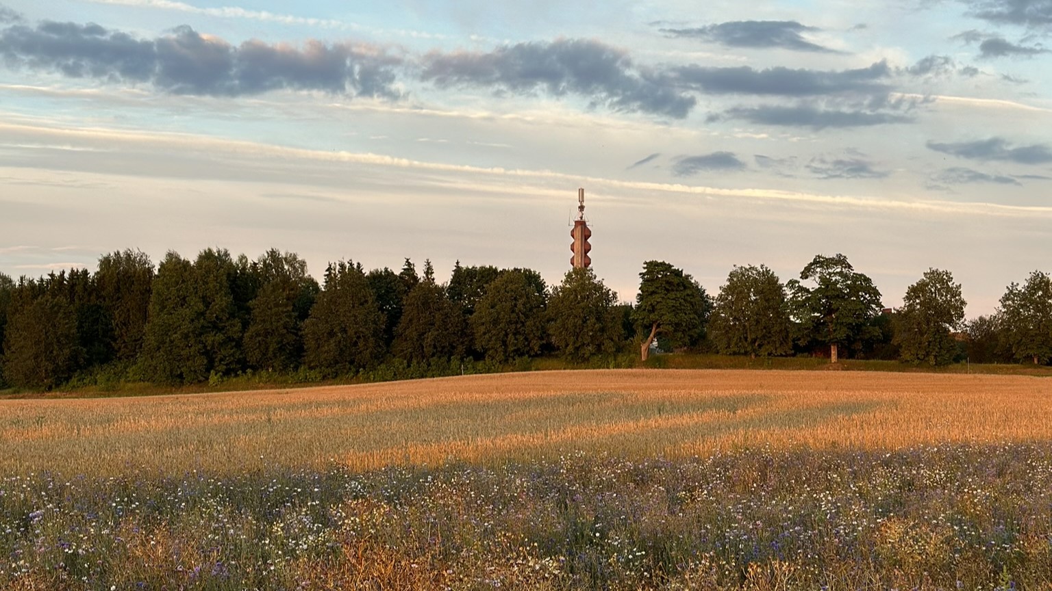 Pilsētas maršruts "Smiltenes pakalni" | Visit Smiltene